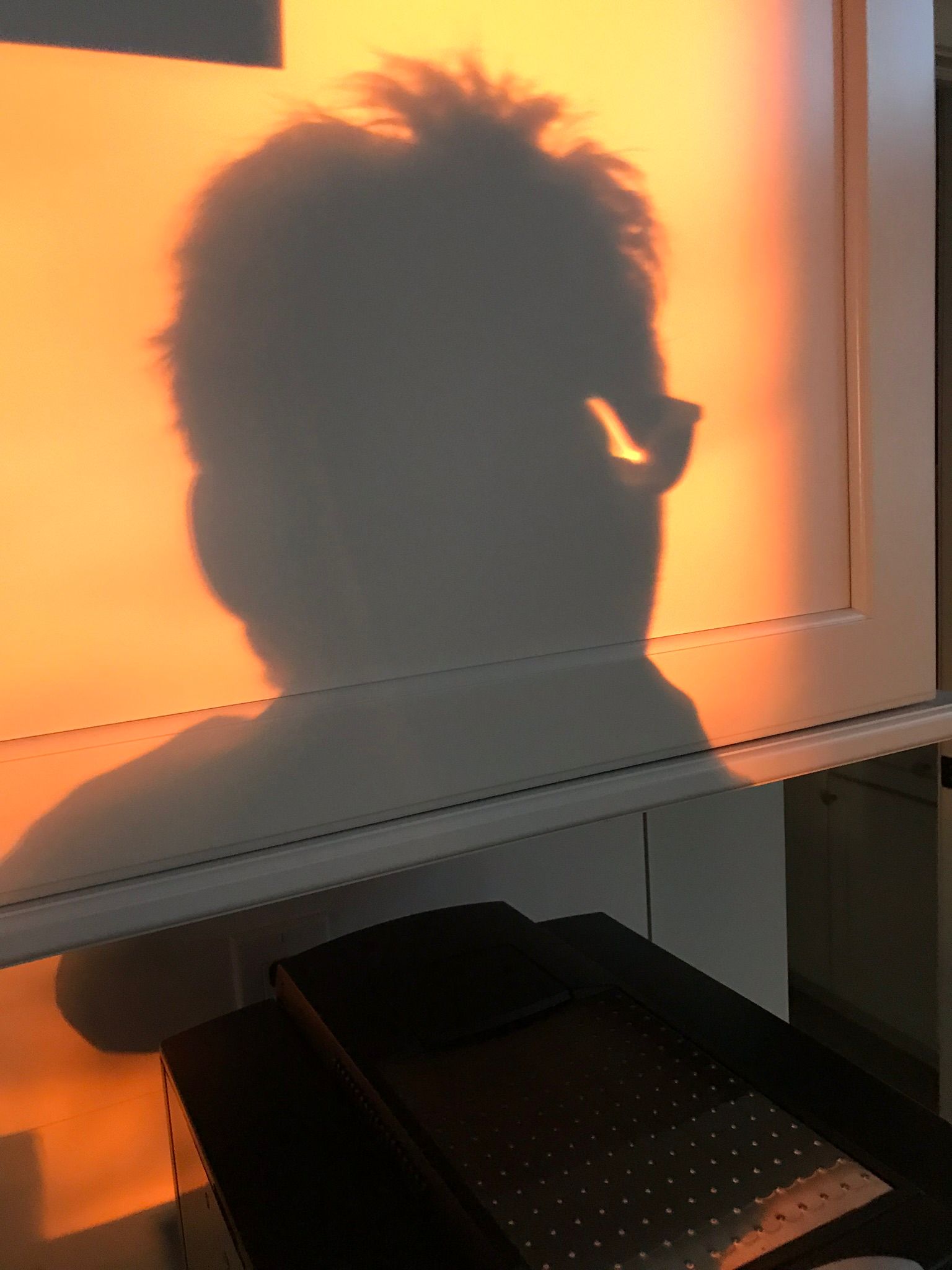 SHADOW PLAY – giddybiddiesblog.com